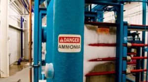 Freezer and Cold Storage Work – Safety